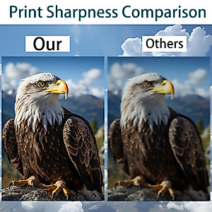 DR630 Drum Unit Replacement for Brother DR630, Perfectly Compatible for Brother DCP-L2520DW DCP-L2540DW HL-L2300D HL-L2305W HL-L2320D HL-L2340DW HL-L2360DW HL-L2380DW Printer (Black 1pack)