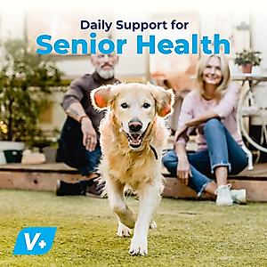 Vetnique Seniorbliss Senior Dog Joint Supplement with Glucosamine and Chondroitin for Dogs Joint Support and Healthy Cartilage Development - for Small & Large Breeds (Hip & Joint Chew, 120ct)