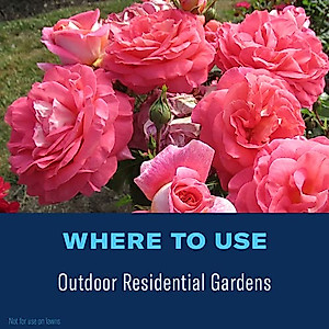 BioAdvanced Dual Action Rose and Flower Insect Killer, Continuous Spray, 15.7 oz