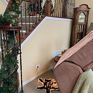 Light Up Fried Cat Rug Funny Aunt Bethany’s Fried Pussycat Rug from National Lampoon’s Humour Christmas Vacation Decoration Carpet, Perfect White Elephant Gift for Family Friends (Warm Lights)