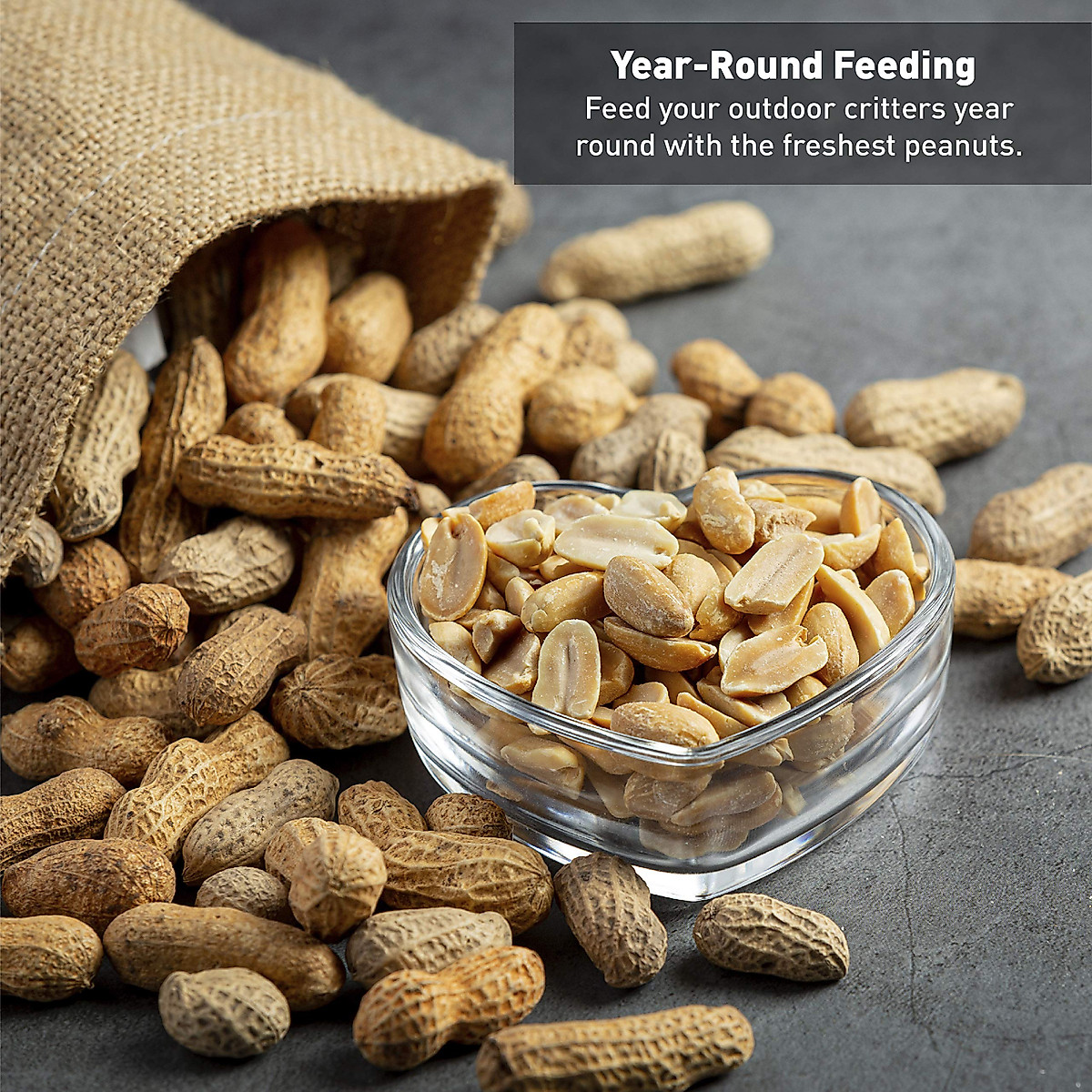 Sandy Land Squirrel Peanuts 25 Pounds Animal Peanut Bag - Ideal Also for Birds, Deer, Chipmunks, Raccoons and Outdoor Wildlife