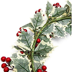 Farmlyn Creek Artificial Christmas Wreath with Holly Berries for Front Doors (15.7 in, 1 Piece)