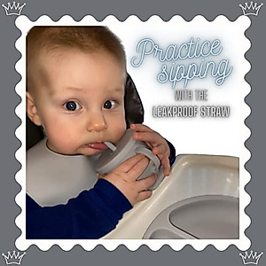 Baby Led Weaning 10 Piece Feeding Eating Supplies | Strong Suction Plate Silicone Cup Snack Lid Drink Lid with Straw Silicone Suction Bowl Bib Spoons Forks Baby Tableware Set 6MonthsToToddler(Grey)