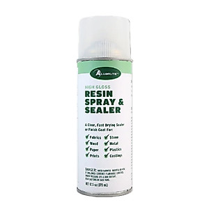 Environmental Technology 12-1/2-Ounce Spray Sealer