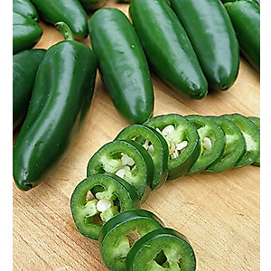 Jalapeño Tam Hot Peppers Seeds for Planting, 50+ Heirloom Seeds Per Packet, (Isla's Garden Seeds), Non GMO Seeds, Botanical Name: Capsicum annuum, Great Home Garden Gift
