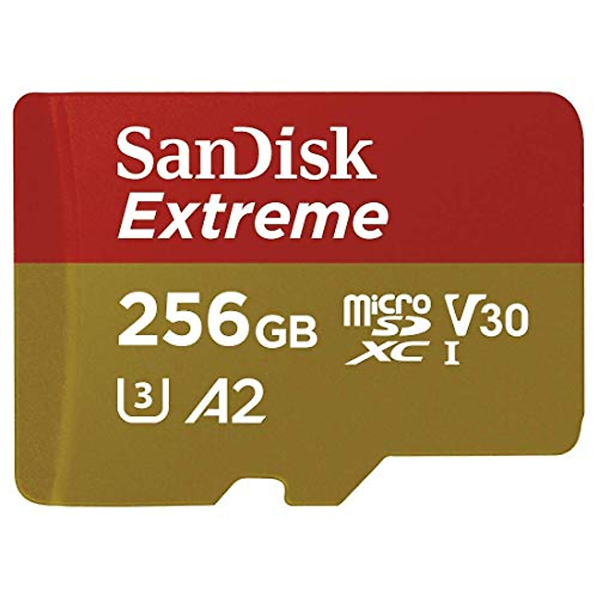 SanDisk 256GB Micro SDXC Memory Card Extreme Works with GoPro Hero 8 Black, GoPro Max 360 Action Camera U3 V30 4K A2 Class 10 (SDSQXAV-256G-GN6MN) Bundle with (1) Everything But Stromboli Card Reader