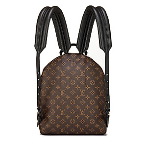 Louis Vuitton, Pre-Loved Monogram Canvas Palm Springs Backpack MM, Brown