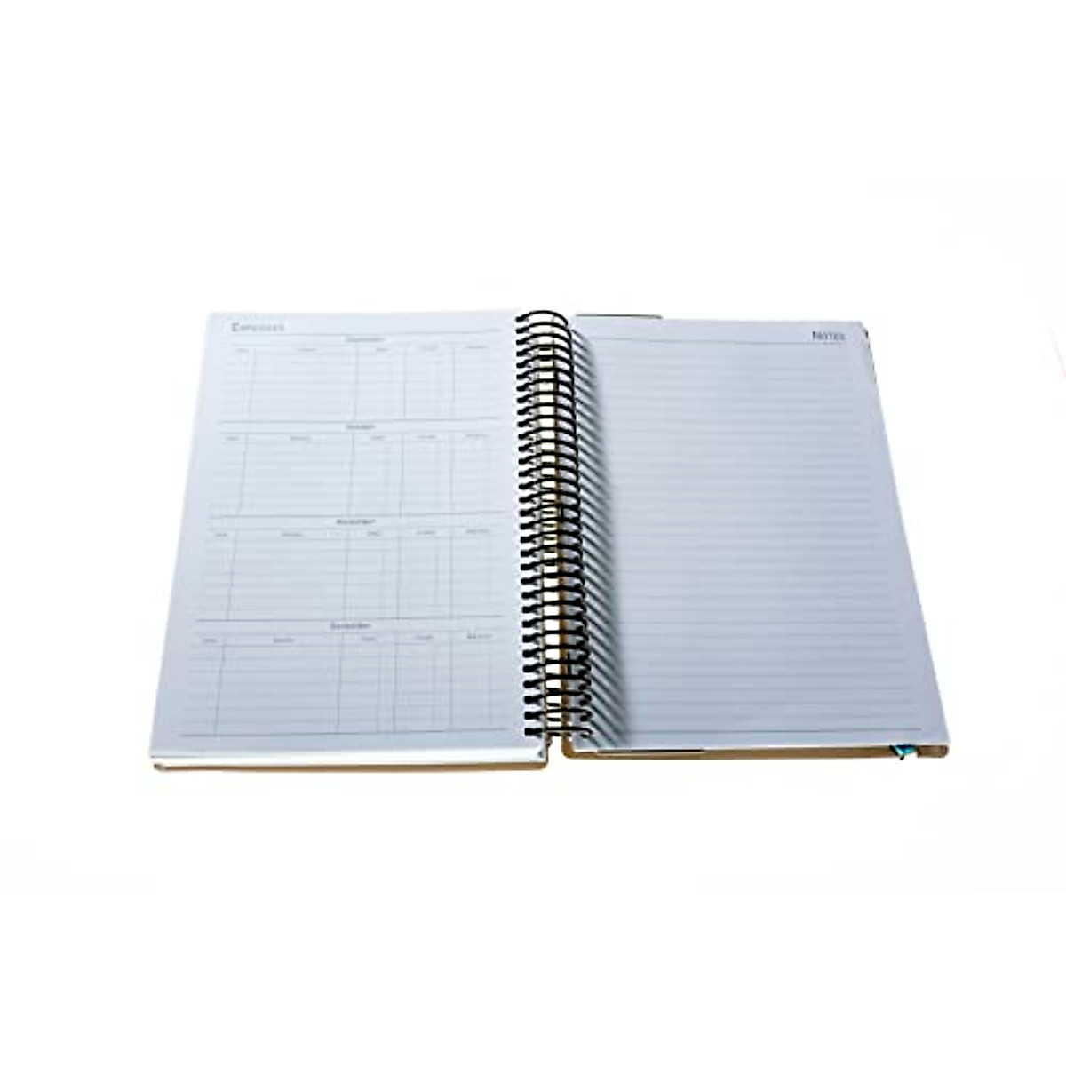 Collins Delta 2024 Diary A5 Day to a Page Diary (with Appointments) - Lifestyle Planner and Organiser for Office, Work, Personal and Home - January to December 2024 Diary - Daily - Orange - FP51.44-24
