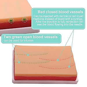 Venipuncture Practice kit Phlebotomy IV Insertion, Blood Draw, Injection, Venipuncture Techniques for Students to Practice Perfect IV，Medical Educational Teaching Model Not Included Practice Needles