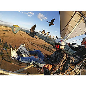 GoPro Tempered Glass Lens + Screen Protectors (HERO8 Black) - Official GoPro Accessory