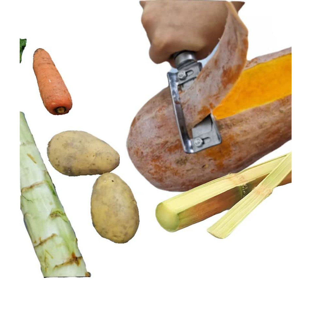 Heavy Duty Vegetable Peeler with Ultra Sharp Thick n Strong Blade for Butternut Squash Sugar cane Asparagus,Easy to peeling hard skin of fruits and vegetable