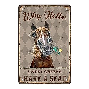 Sweet Cheeks Horse Wall Decor,Hello Decorative Tin Sign Funny,Cheeky Horse Retro Poster Paintings Cute Hello Horse Decoration Home Bedroom Livingroom Bathroom Decor Picture,8x12in Multicolor