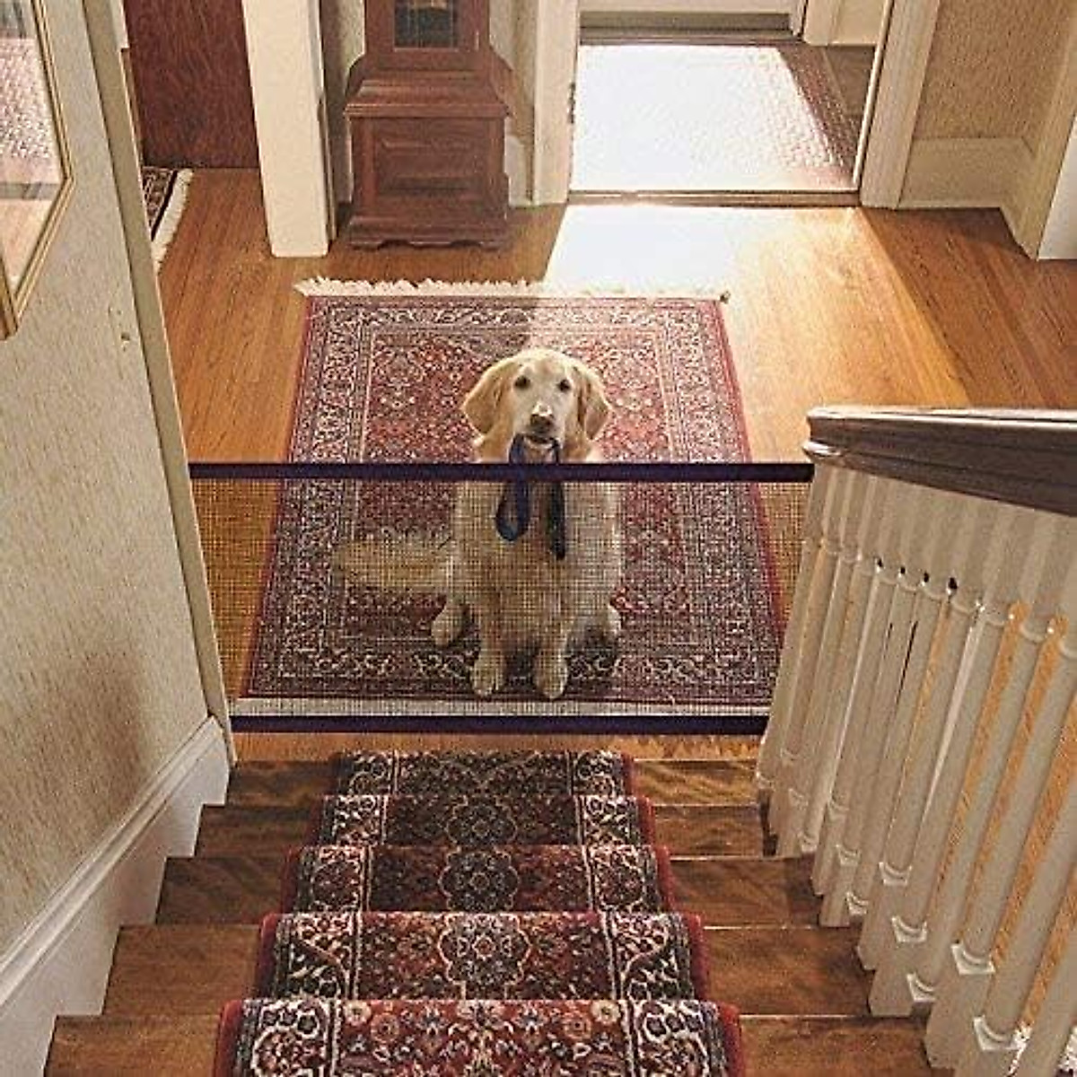 70 inch Net for Dogs Pet Safety Gate, Portable Folding Mesh Magic Corridor Barrier, Safe Guard Install Anywhere, Safety Fence for Hall Doorway Kitchen Stairs Extra Wide