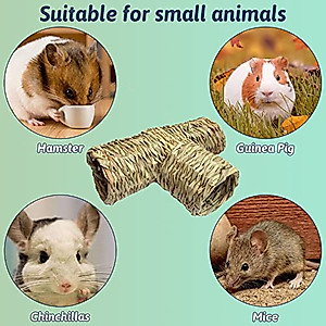 Nature's Hideaway Grass Tunnel Toy,Straw House with Open Entrance,Lightweight,Durable Home for Pocket Pets,Suitable for Rats,Syrian Hamster,Ferrets,Guinea Pig ,Chinchilla Hedgehog and Budgies