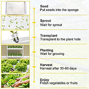 VEVOR Hydroponics Growing System, 72 Sites 8 Food-Grade PVC-U Pipes, 1 Layer Indoor Planting Kit with Water Pump, Timer, Nest Basket, Sponge for Fruits, Vegetables, Herb, White