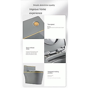 Smart Ceramics Bidet Toilet, Super Toilet Bidet Combo With Dual Flush, Modern One-Piece Toilet Standard Seat Height for Home Hotel Bathroom (Color : C, Size : 680x360x830mm)