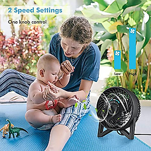 Dr. Prepare Quiet Desk fan, 8 Inch Powerful Table Fan, Small Bedside Fan with 2 Speeds, Portable Personal Cooling Fan for Bedroom Sleeping Tabletop Office Home Kitchen Camping, Black