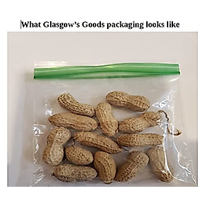 Peanut Seeds - Virginia Jumbo - Organic - 20+ Seeds - Glasgow's Goods