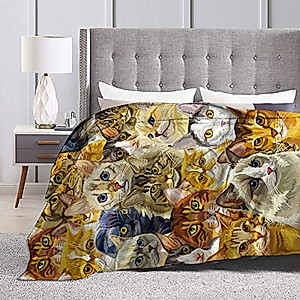 Bilibunny Cat Blanket Gifts for Cat Lovers, 40"x55" Soft Warm Flannel Cozy Throw Blankets for All Seasons, Cute Cat Fuzzy Blankets for Couch Sofa Bedroom Chair Camping Office Car Travel Picnic (Pet)