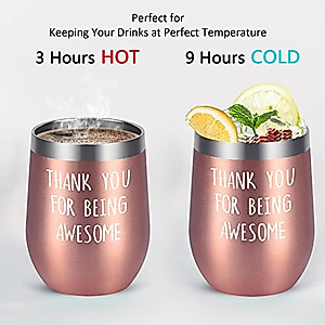 Thank You Gifts, Thank You for Being Awesome Wine Tumbler Set of 4, Inspirational Appreciation Birthday Gifts for Women Coworker Friends Teacher Her, Insulated Stainless Steel Tumbler(12oz, Rose Gold)