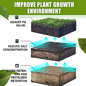 XIRUJNFD Soil Activated Treasure-You Will Be Amazed! Indoor Plant Fertilizer, Soil Activated Treasure, Fertilizer for Plants Flower Lawn, Improve Plant Growth (100g,1Pcs)