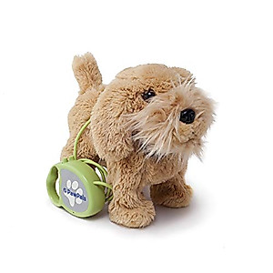 MEVA Kids Walking and Barking Puppy Dog Toy Pet with Remote Control Leash, Gifts for Kids Boys Girls (Brown)