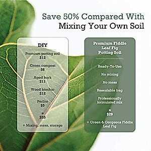 Premium Fiddle Leaf Fig Tree Potting Soil - Perfect for Indoor Plants