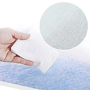 HONEY CARE All-Absorb Dog/Puppy Potty Training Pads, 5-Layer Leak-Proof Ultra Absorb Eliminating Urine Odor Pet Pee Pad (Magic Funnel, L 22x23 inch,100ct)