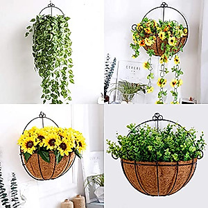 Metal Hanging Planter Basket with Coco Coir Liner Wall Mount Wire Plant Holder for Indoor Outdoor Garden Porch and Balcony (2 Pack) (10 inch)