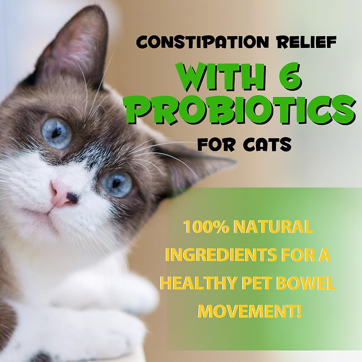 Cat Constipation Relief, 2 Fl Oz Constipation Relief for Cat, Cat Laxative, Cat Laxative Constipation Relief, Stool Softener, Supports Digestive Health
