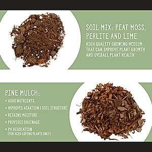 Monstera Houseplant Potting Soil Mix (4 Quarts), Custom Blend for Growing and Repotting