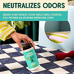 Aunt Fannie's Carpet Refresher, Odor Neutralizing Powder for Homes with Children or Pets (Bright Lemon, Single)