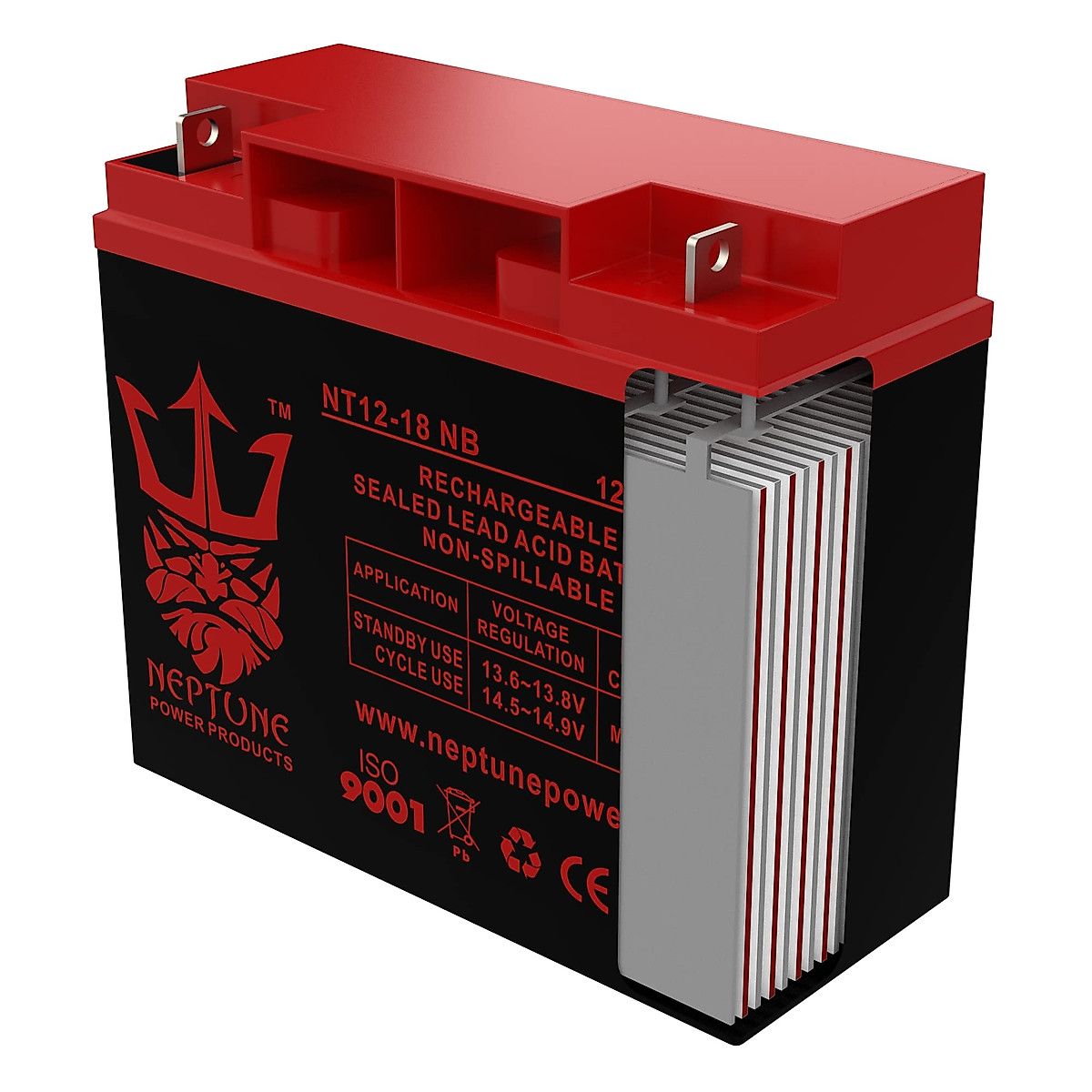Neptune 12V 18AH Battery Sealed Lead Acid Rechargeable SLA AGM Batteries Replaces UB12180 FM12180 6fm18 PS-12180 EXP12180