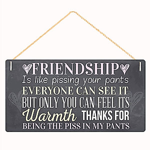 Friendship Wood Sign, Every One Can See It But Only You Can Feel Its Warmth Home Decor Plaque 12" x 6" Hanging Wall Art, Decorative Funny Sign,Garden Sign(XXQ102)