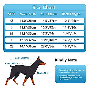 Etdane Recovery Suit for Dog Cat After Surgery Dog Surgical Recovery Onesie Female Male Pet Bodysuit Dog Cone Alternative Abdominal Wounds Protector Rainbow Stripe/X-Large