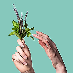 Poo-Pourri Before-You-Go Toilet Spray, Lavender Peppermint, Refill Bottle 16 Fl Oz - Lavender, Peppermint and Citrus