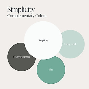 Chalk Style Paint - for Furniture, Home Decor, Crafts - Eco-Friendly - All-in-One - No Wax Needed (Simplicity [White], Sample (4 oz))