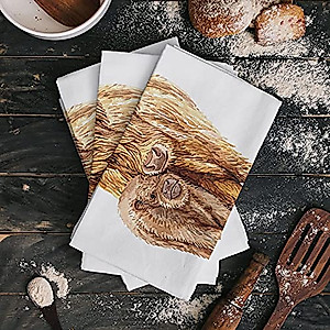 Yun Nist Kitchen Dish Towels,Spring Scottish Highland Cow White Back Soft Microfiber Dish Cloths Reusable Hand Towels,Cartoon Animal Pink Flower Washable Tea Towel for Dishes Counters 1 Pack