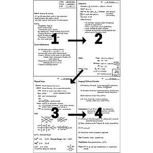Medical Rounds Notebook, proRound – Spiral Notebook, Notepad with Template, Log Book for Medical Students, Nurses & Physician Assistants, Pocket Size – 4.5 x 7 Inches, 75 Pages (Pack of 1)