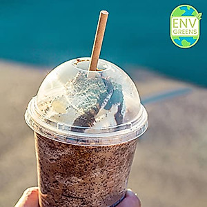 EnvGreens Biodegradable Paper Drinking Straws - 100% Eco-Friendly Compostable & Disposable Drinking Straws for Juices, Restaurants and Party supplies (100 Pack)