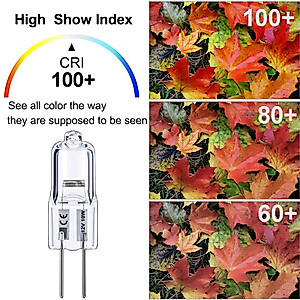 G4 Bulb, 10 Pack Halogen G4 12V 10W with G4 Bi-pin Base, High Output G4 Light Bulb 12V 150LM 3000Hrs Long Lifetime, G4 Dimmable, CRI100 & 2800K Warm White, G4 Halogen Bulb 10W for Cabinet Light Bulbs
