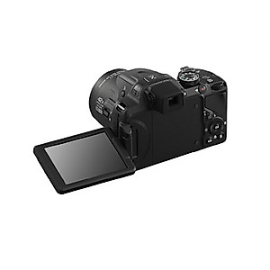 Nikon COOLPIX P520 18.1 MP CMOS Digital Camera with 42x Zoom Lens and Full HD 1080p Video (Black) (OLD MODEL)