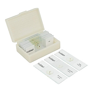 Prepared Whole Insects Microscope Slides Set, 10pcs Specimens for Kids Students Biology Class, Educational Gift (Whole Insects)