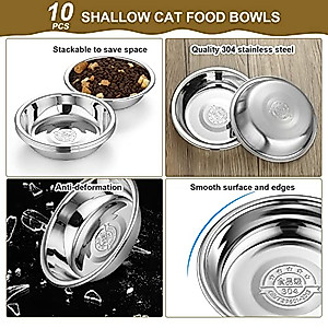 10 Pcs Shallow Cat Food Bowls 6.3 Inches Replacement Stainless Steel Cat Bowls Whisker Fatigue Relief Cat Bowls for Elevated Stand Metal Cat Dishes Basic Bowls for Cat Dishwasher Safe