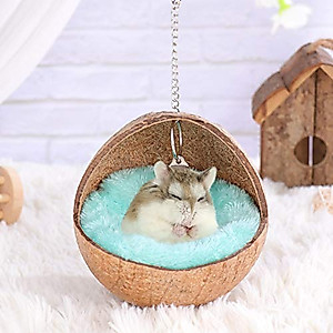 POPETPOP Hanging Hamster House Bed - Warm Small Animal Nest Coconut Shell Sleeping Bed with Cushion, Rat Hamster Hammock Small Animals Cage Nest Accessories
