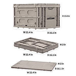 ROTIHOMSYS Collapsible Plastic Storage Crate, Folding and Stackable Utility Distribution Container with Lid, 62L Capacity Storage Bins, Pack of 1 (Beige)