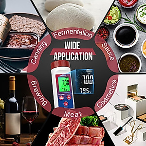 Smart pH Meter for Food, GIDIGI Digital Food pH Tester, Accurate Canning pH Test Kits with ATC, Professional Fermenting pH Test Pen, Spear pH Probe for Bread Cheese Sushi Rice Sourdough Sauce Meat