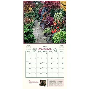 Secret Garden Wall Calendar 2022: A year of photographs that transport you to a garden sanctuary.