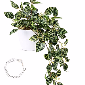 Waipfaru Fake Hanging Plant with Pot and Macrame Plant Hanger, Realistic Faux Plants Indoor, Small Fake Plants, Fake Potted Plants for Home Shelf Bathroom Kitchen Office Indoor Outdoor Decor