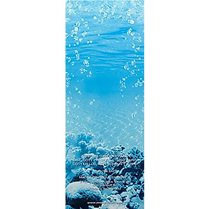 Davidoff Cool Water Into The Ocean Eau de Toilette Spray for Women, 3.4 Ounce